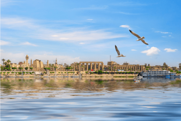 8 Days Egypt Nile Cruise: Cairo, Luxor, Aswan & Abu Simbel