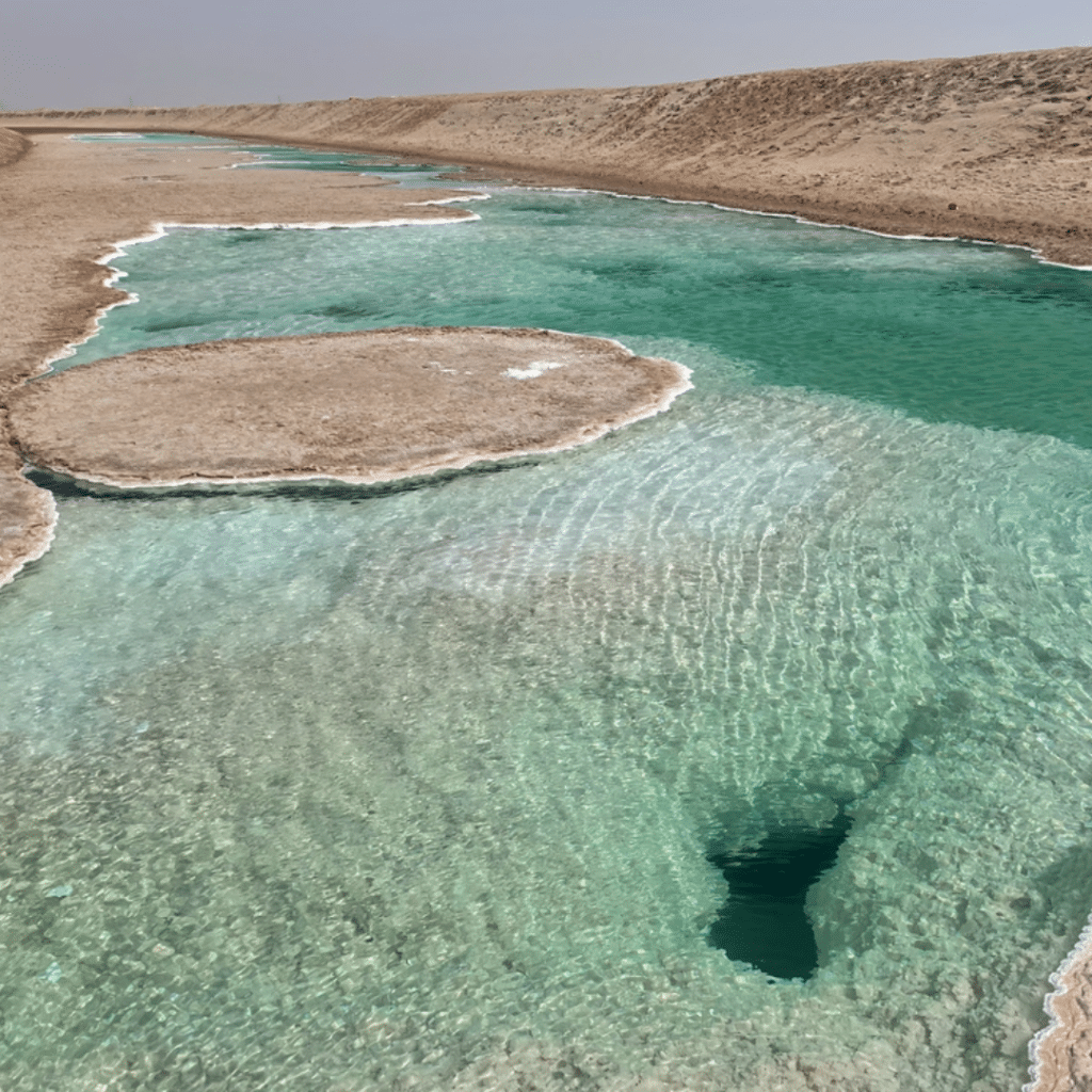 8 Days Cairo, Alexandria, Alamein & Siwa Oasis Tour